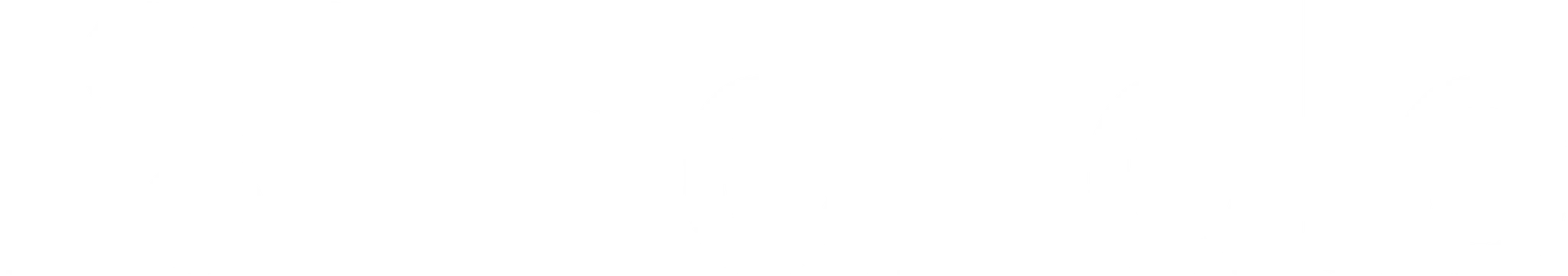 Handle